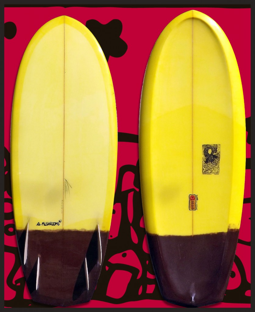 A Beginners Guide to Surfboards - The CoastWaterSports Blog